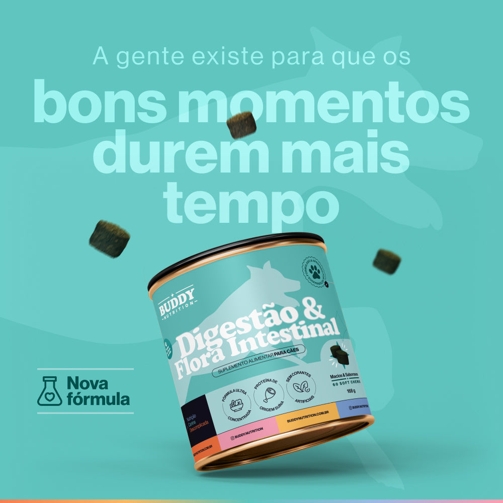 Kit 3x Digestão & Flora Intestinal – Buddy Nutrition